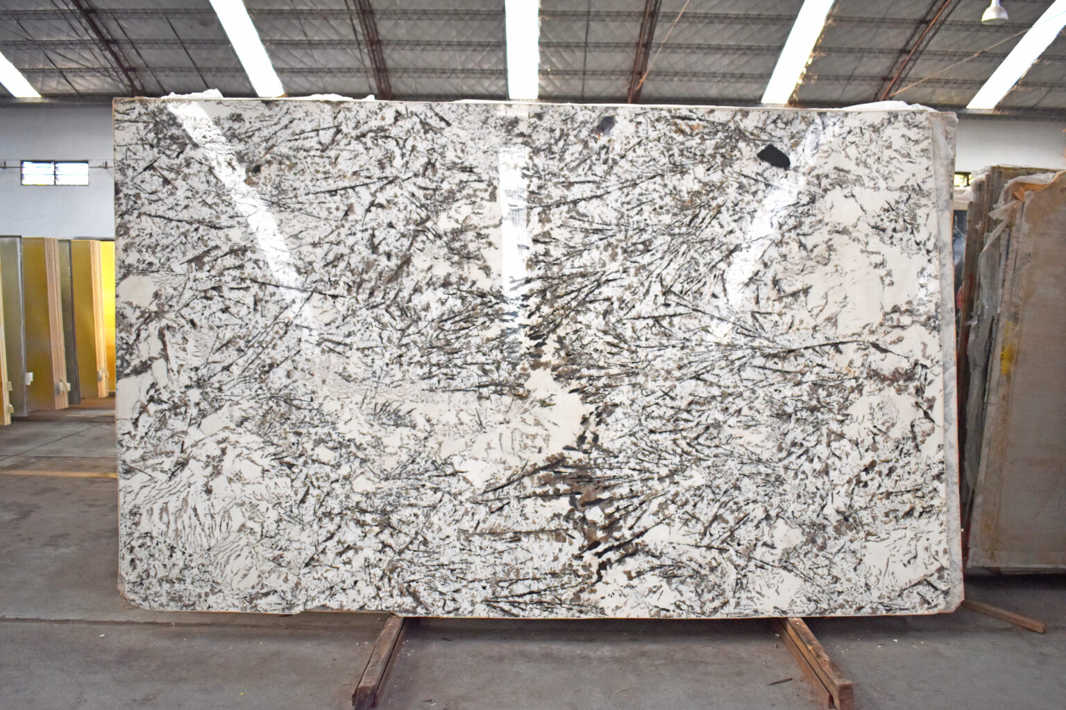 Blanco Orion - De Stefano